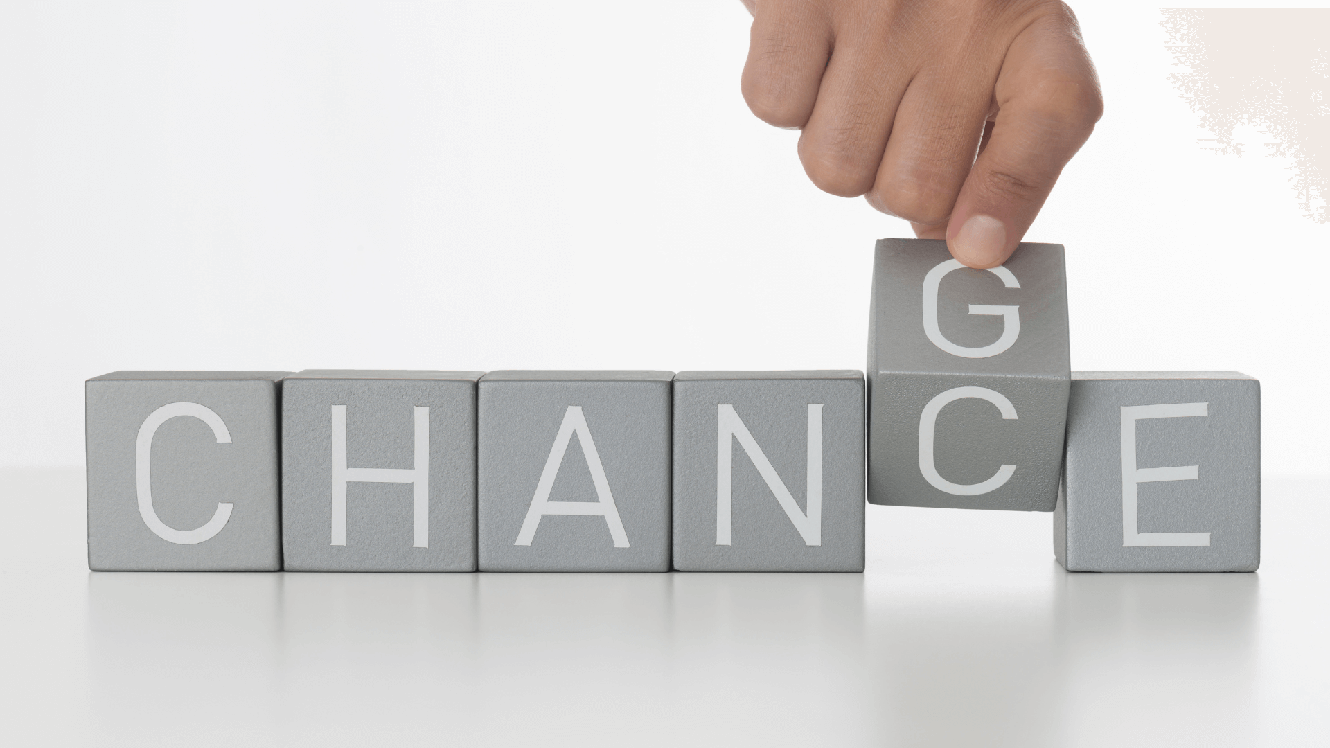 A chance every five years: - News - ALEBA, a union for all